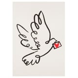 Kort Hvit due | Obs.no